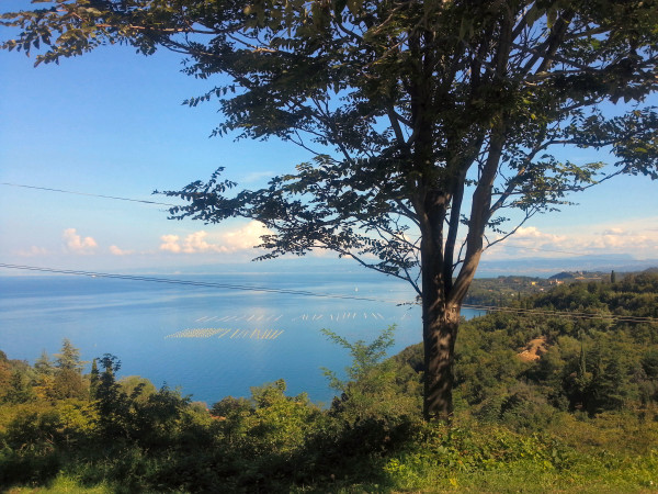 15 Beautiful Strunjan Photos That Will Inspire You To Visit Slovenia