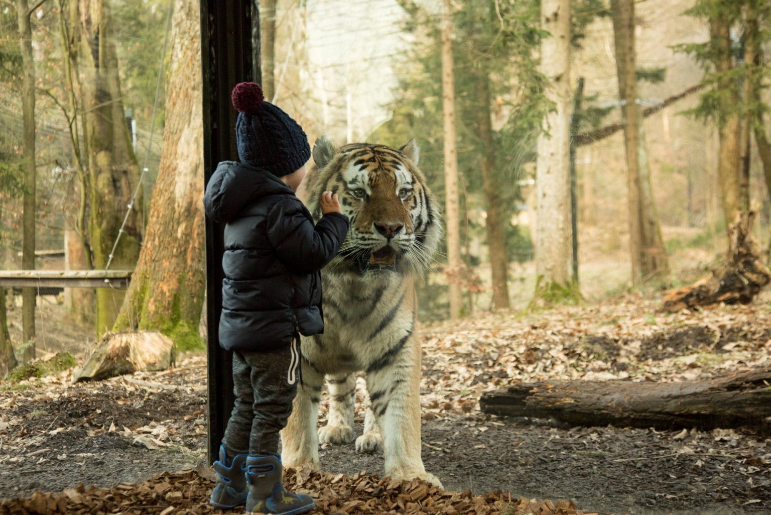 45 Ljubljana Zoo Photos To Inspire You To Visit Slovenia - Travel Slovenia